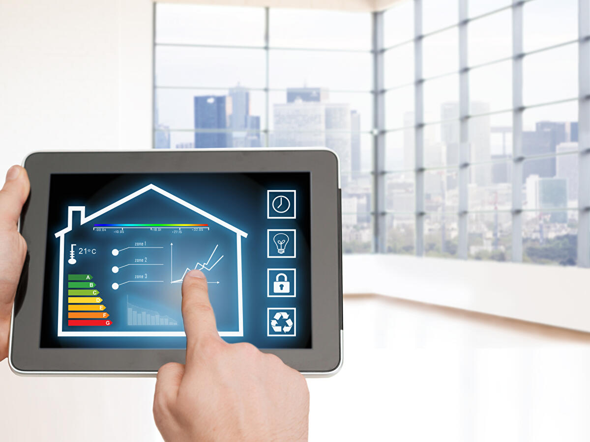 Domotica in de zorg - Borgtechniek